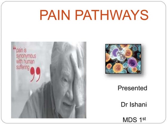 Theories of pain | PDF