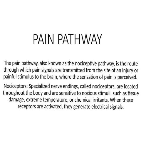 PAIN GAYE THEORY - Pain pathways, its process | PPTX