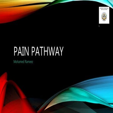 Pain pathway | PPTX
