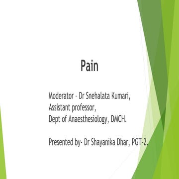 Pain pathway slides presentation by Dr Shayanika | PDF