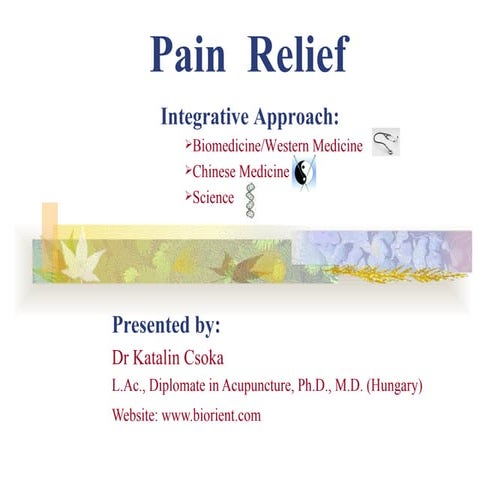 Pain Relief - An Integrative Approach | PPT