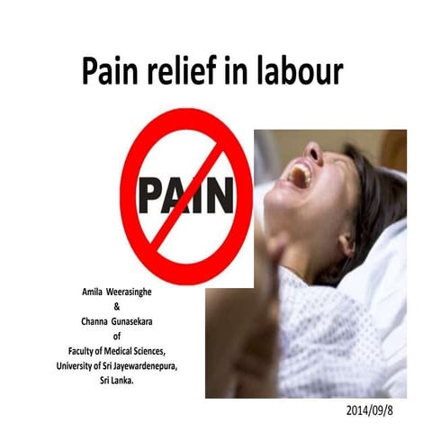 Physiology of labor and pain pathways