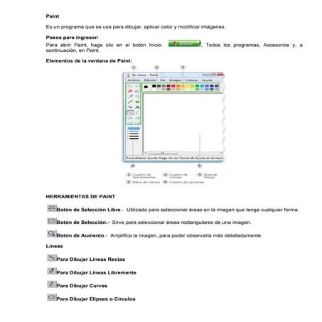 Microsoft paint-manual-sencillo | DOC