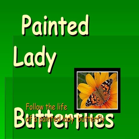 Painted Lady Butterfliespresentation2 | PPT | Birdwatching | Hobbies ...