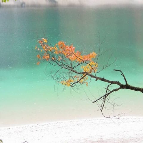 Paisagens Inesqueciveis | PPS