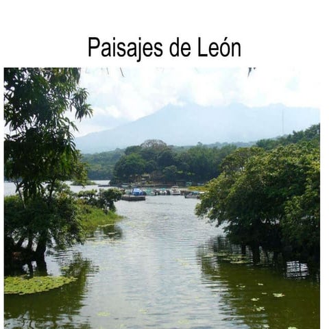 Paisajes de león | PPT