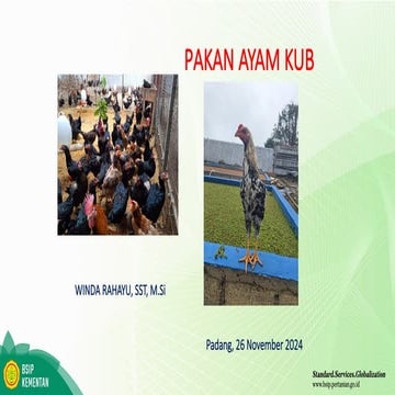 Pakan Ayam KUB usaha ternak ayam indonesia.pptx