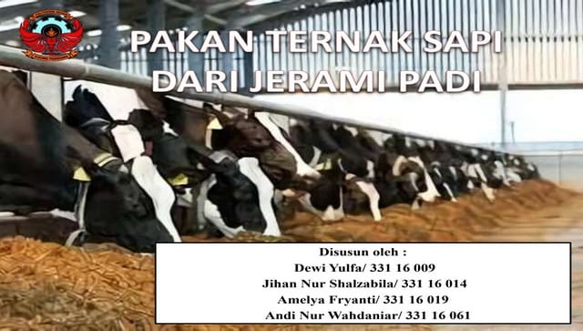 Leaflet panduan pemberian hijauan pakan ternak | PDF