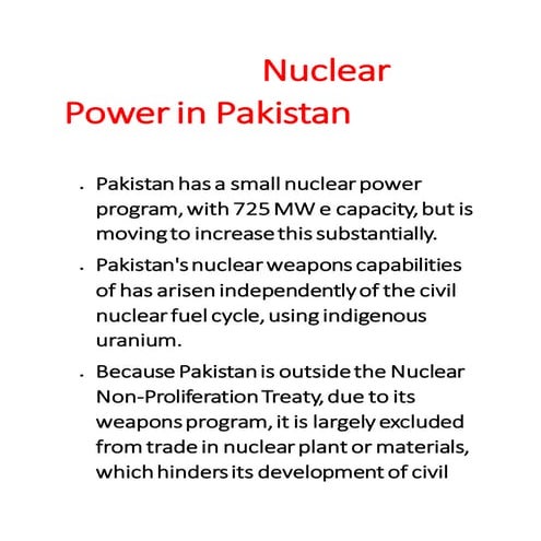 Pakistan Nuclear | DOCX