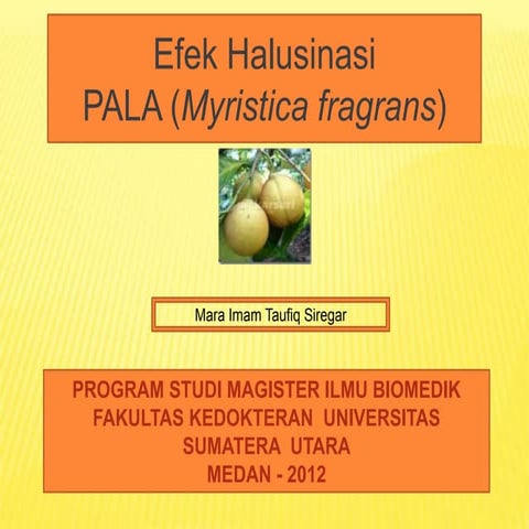 Pala, agen halusinogen | PPTX