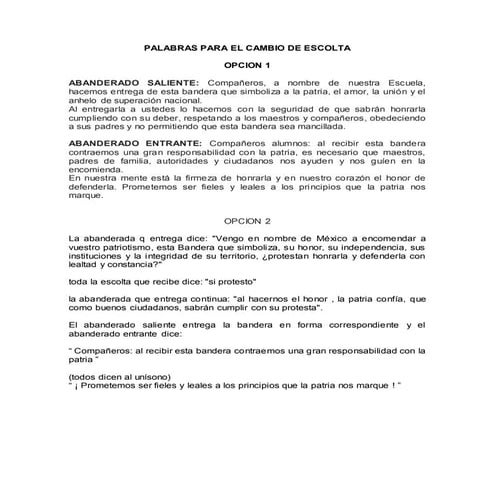 Transmision de bandera | DOCX