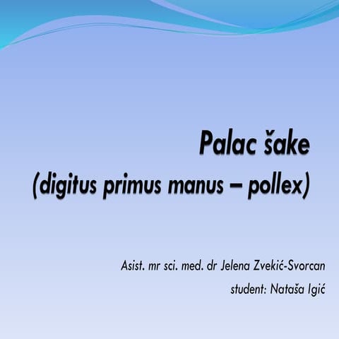 Palac - digitus primus manus – pollex | PDF