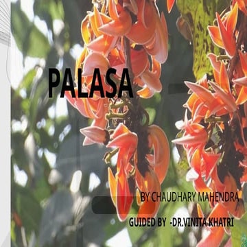 PALASA_20250903_094321_0000.pptx dravya | PPTX