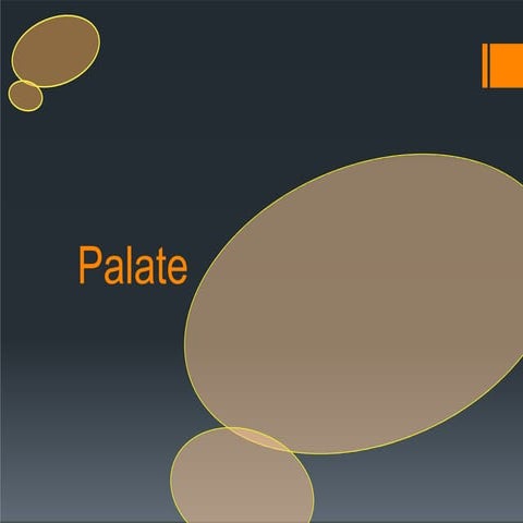 Palate.pptx