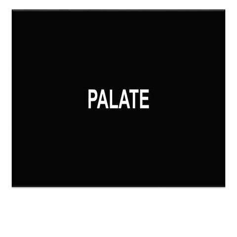 palate.pptx