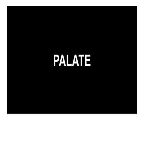 Seminar on Hard&Soft Palate anatomy.pptx