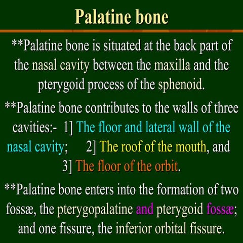 Palatine bone | PPT