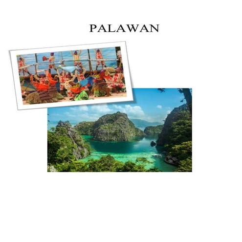 PALAWAN.docx