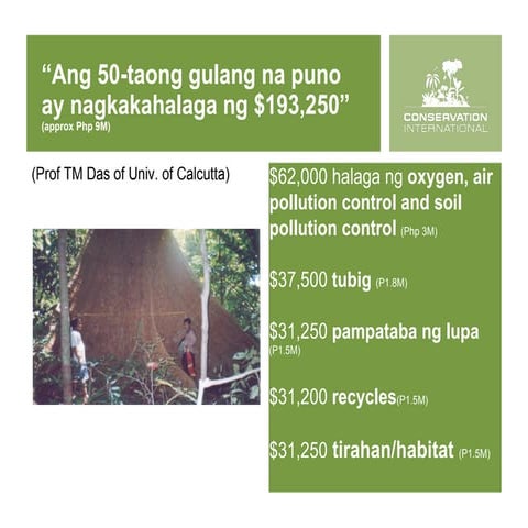 Palawan Biodiversity Status & MMPL Valuation Initial Results 22 April ...