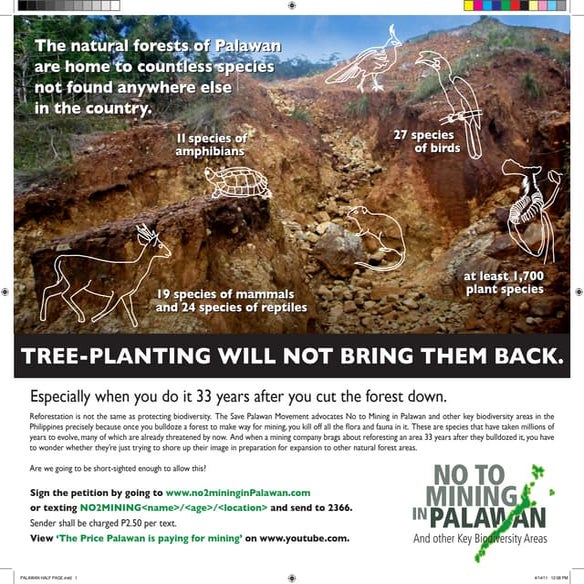 The Natural Forests Of Palawan | PDF