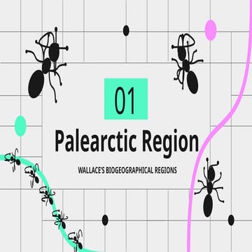 Palearctic Region and its Zoological Characteristics.pptx