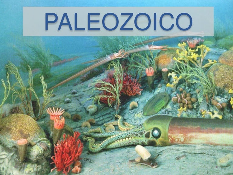 Historia del Paleozoico
