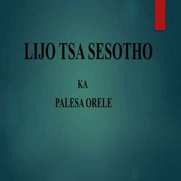 SEBOKO SA BAFOKENG | PPTX