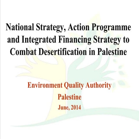 Palestine National Strategy, Action Programme and Integrated Financing ...