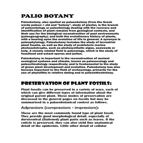 Paliobotany and pictures | RTF