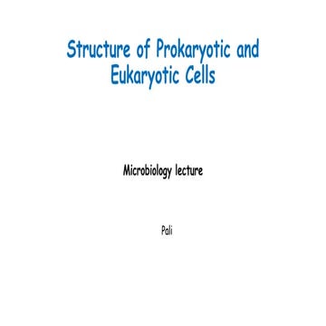 Lesson 3 Prokaryotic vs Eukaryotic Cell | PDF