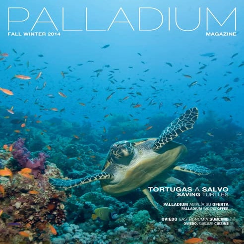 Palladium magazine 10 | PDF