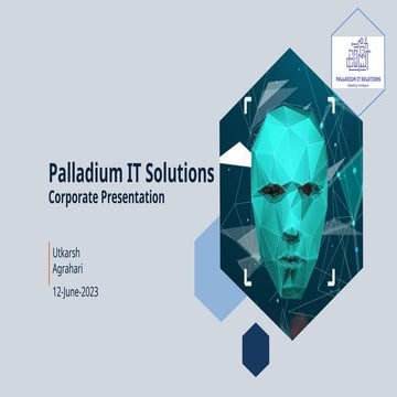 Palladium IT Solutions - IOT India Market | PPTX