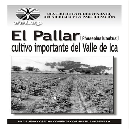 Pallar | PDF