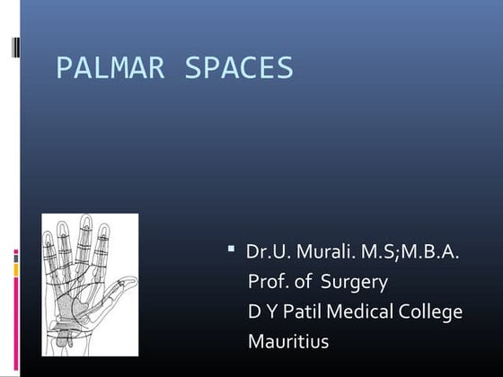 Spaces of Hand and Forearm | PPT
