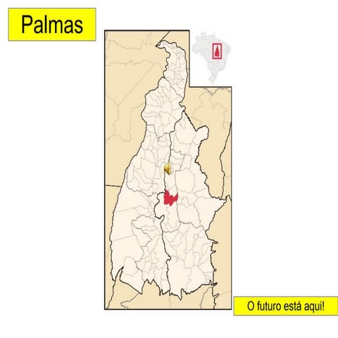 Palmas | PPT