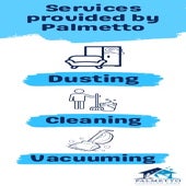 Services provided by Palmetto | PDF