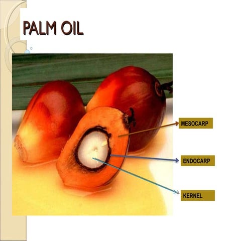 Palm oil | PPT
