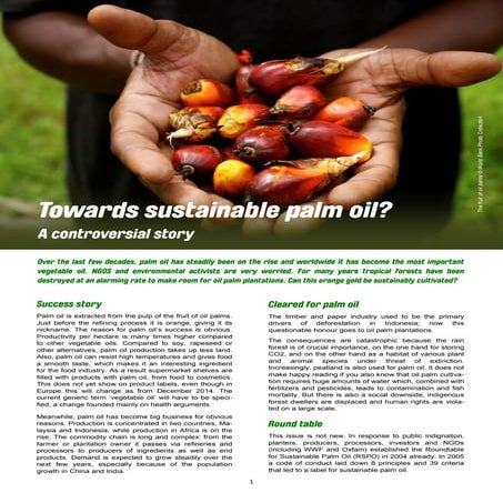 Unilever's Sustainable Palm Oil Journey | PDF