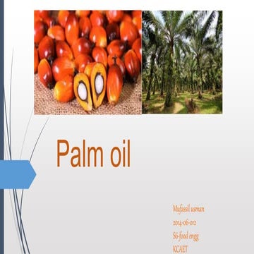 Oil Palm Processing