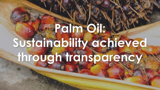 RSPO Sustainable palm oil - The journey so far 2008 to 2015 | PDF