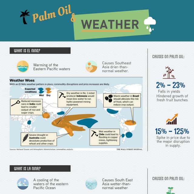 Palm Oil Facts | PDF