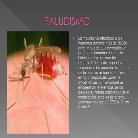 Paludismo | PPT