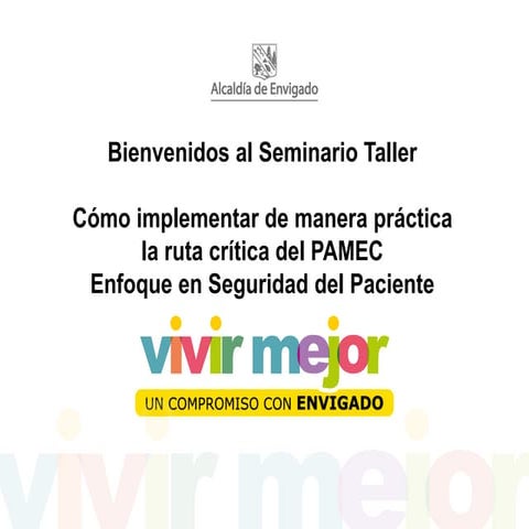 PAMEC.pdf