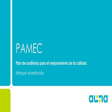 Programa de Auditoría para el Mejoramiento de la Calidad (PAMEC | PDF