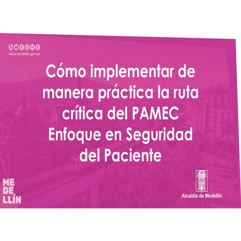 PAMEC EN SEGURIDAD DEL PACIENTE 1.pdf