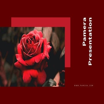 Flora and fauna | PPTX