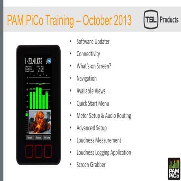 PAM PiCo - Training Guide | PPSX