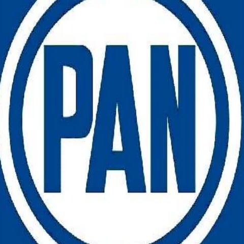 PAN PARTIDO DE ACCION NACIONAL | PPTX