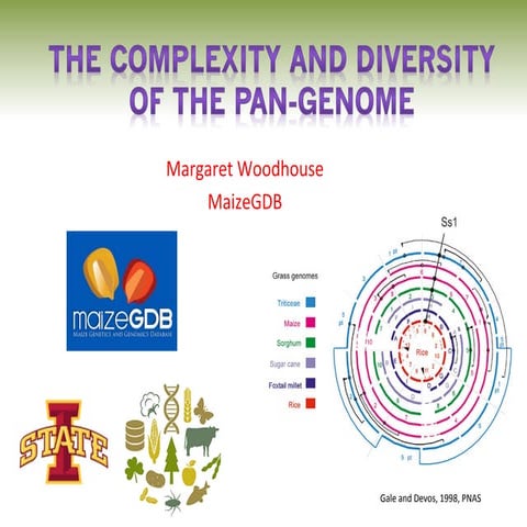 AgBioData: Complexity and Diversity of the Pan-Genome | PDF