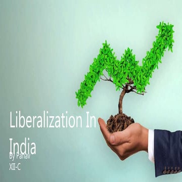 Liberalisation Economics Project | PPTX